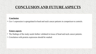 head and neck cancer research presentation | PPTX