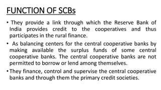 State cooperative bank (Babar).pptx