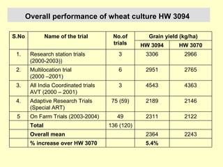 Wheat variety COW(W)1 | PPT