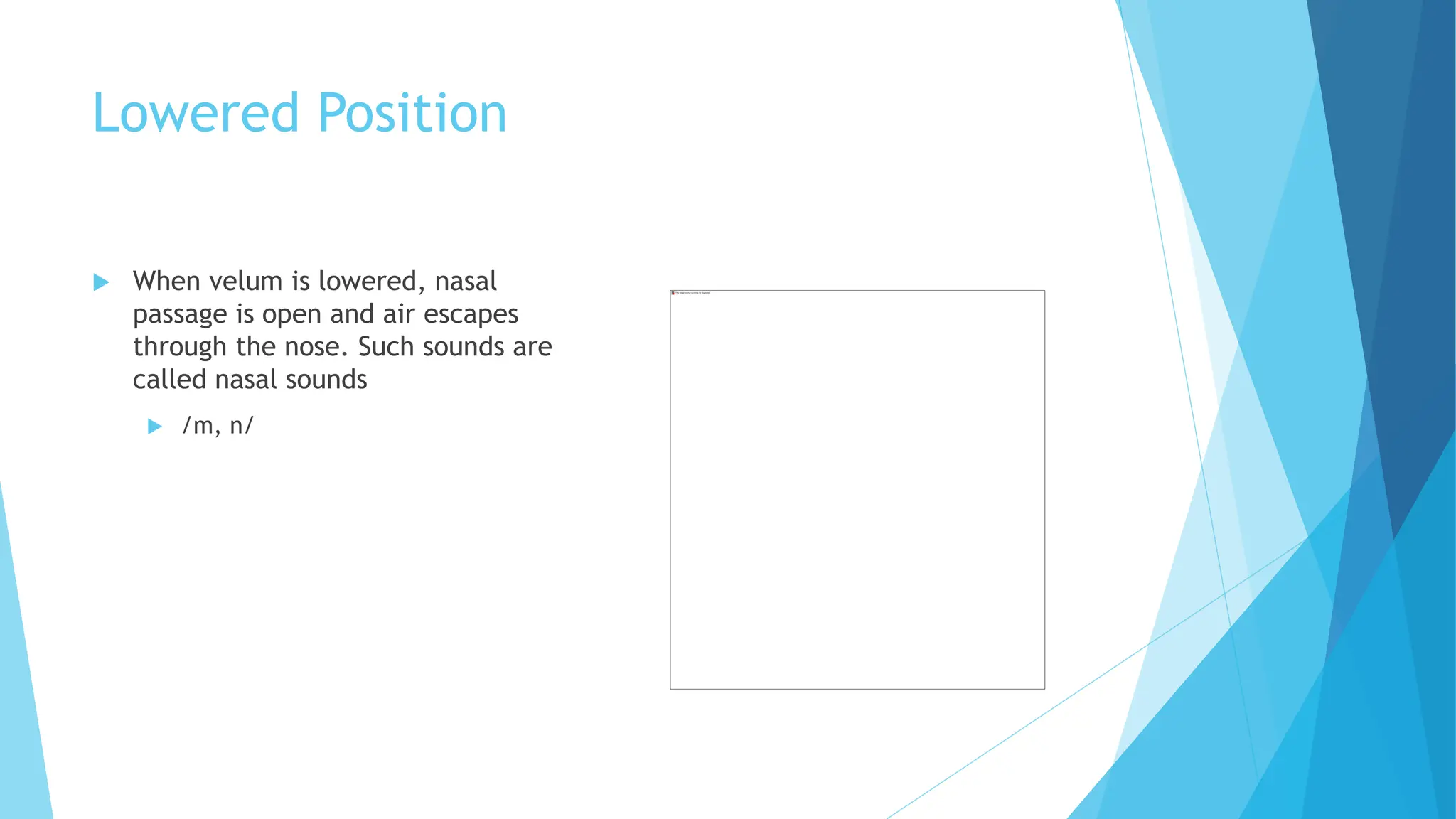 State of Glottis and Position of Velum.PPTX