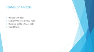 State of Glottis and Position of Velum.PPTX