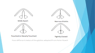 State of Glottis and Position of Velum.PPTX