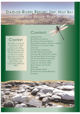 State of rivers_report | PDF