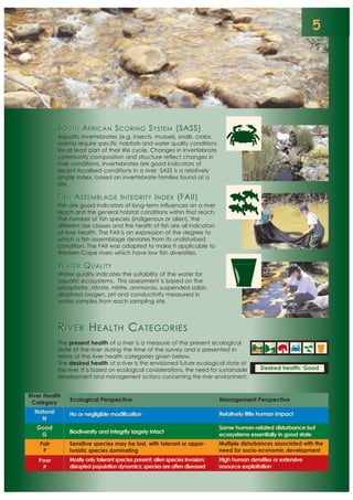 State of rivers_report | PDF