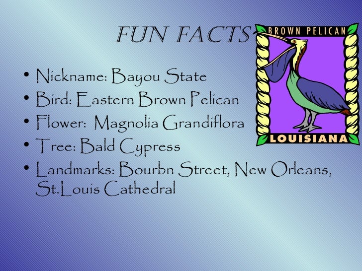 Louisiana Facts at Sandra Raines blog