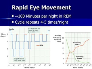 States of Consciousness | PPT