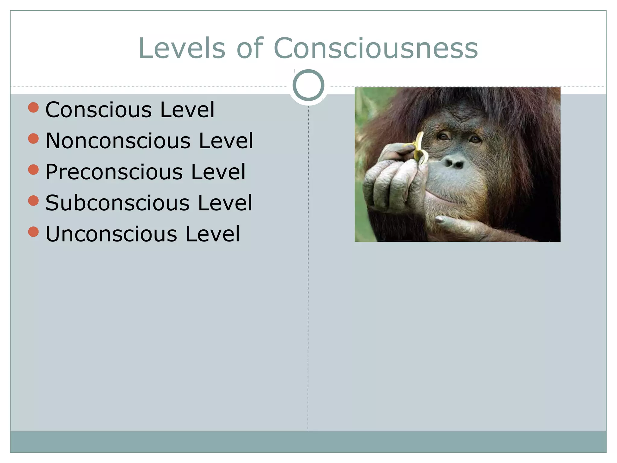 Consciousness | PPT