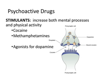 Ch04 States of Consciousness | PDF