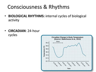 Ch04 States of Consciousness | PDF