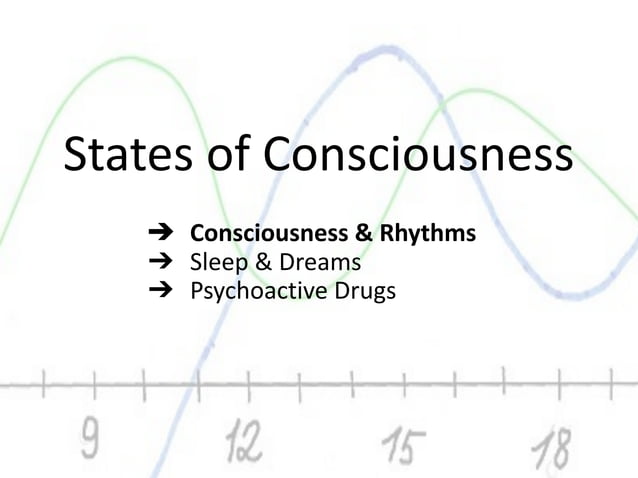 Ch04 States of Consciousness | PPT