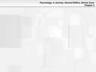 States of consciousness, sleep stages and drugs.ppt