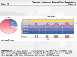 States of consciousness, sleep stages and drugs.ppt