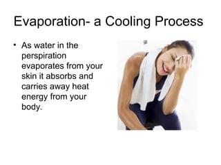 Physical Phase Changes- Grade 7 Science of Materials | PPT
