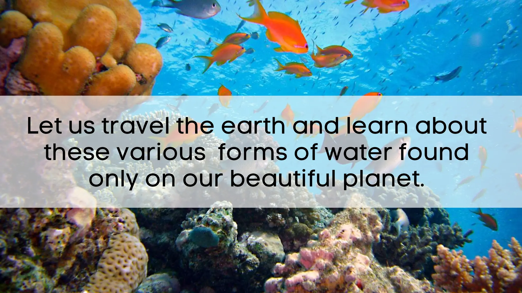 States of Water and their various forms | PPT