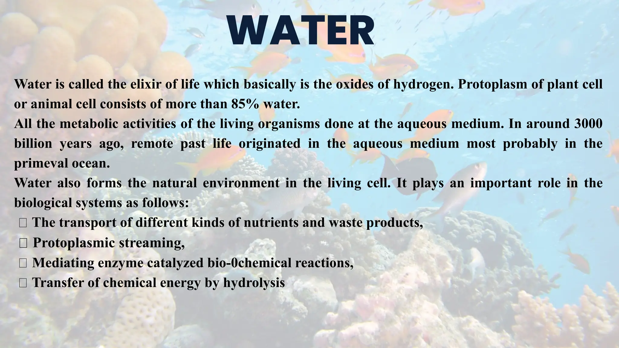States of Water and their various forms | PPT