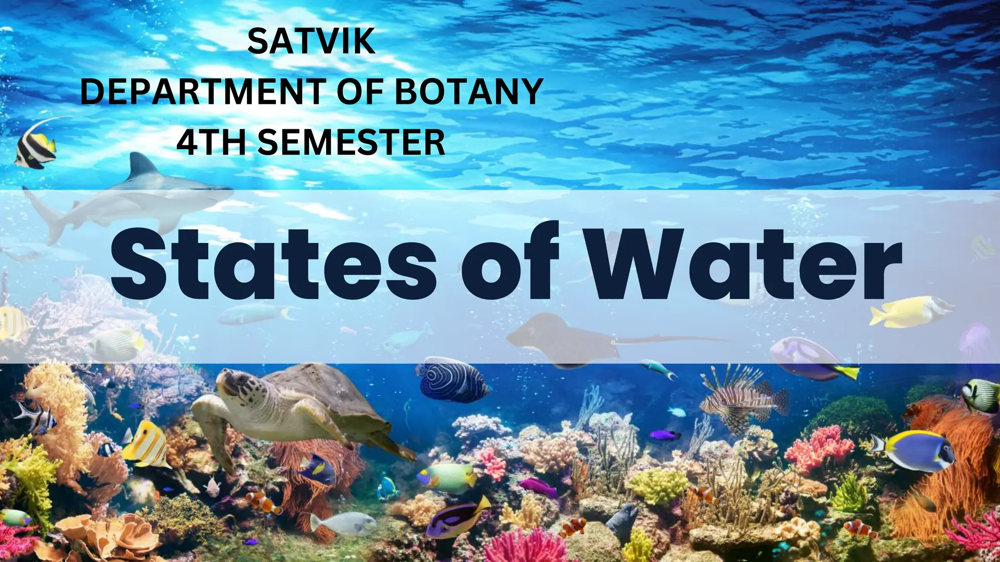 States of Water and their various forms | PPT