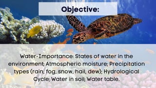 States of Water and their various forms | PPT