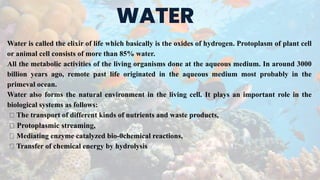 States of Water and their various forms | PPT