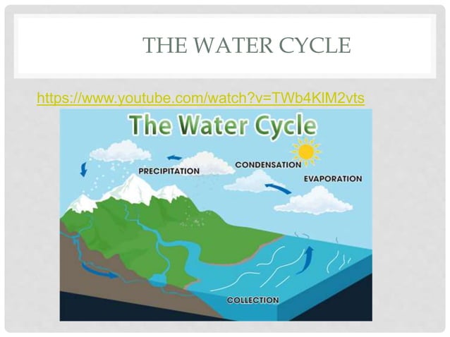 States of water 2nd of primary social science | PPTX