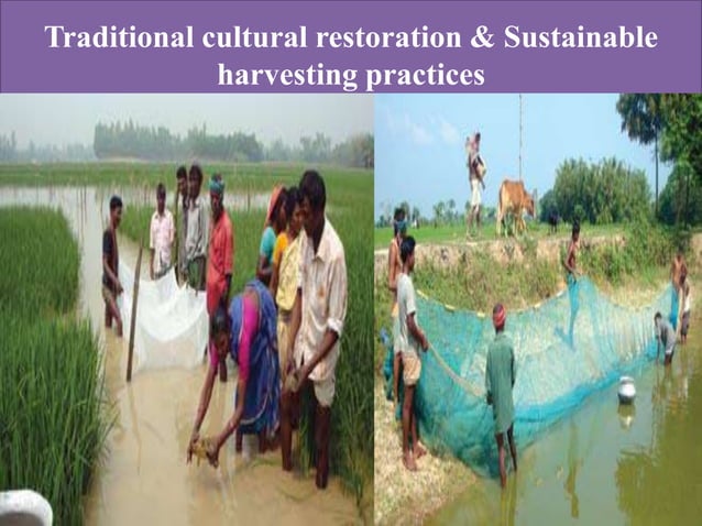 State wise biodiversity protected areas of the india | PPTX | Asia ...