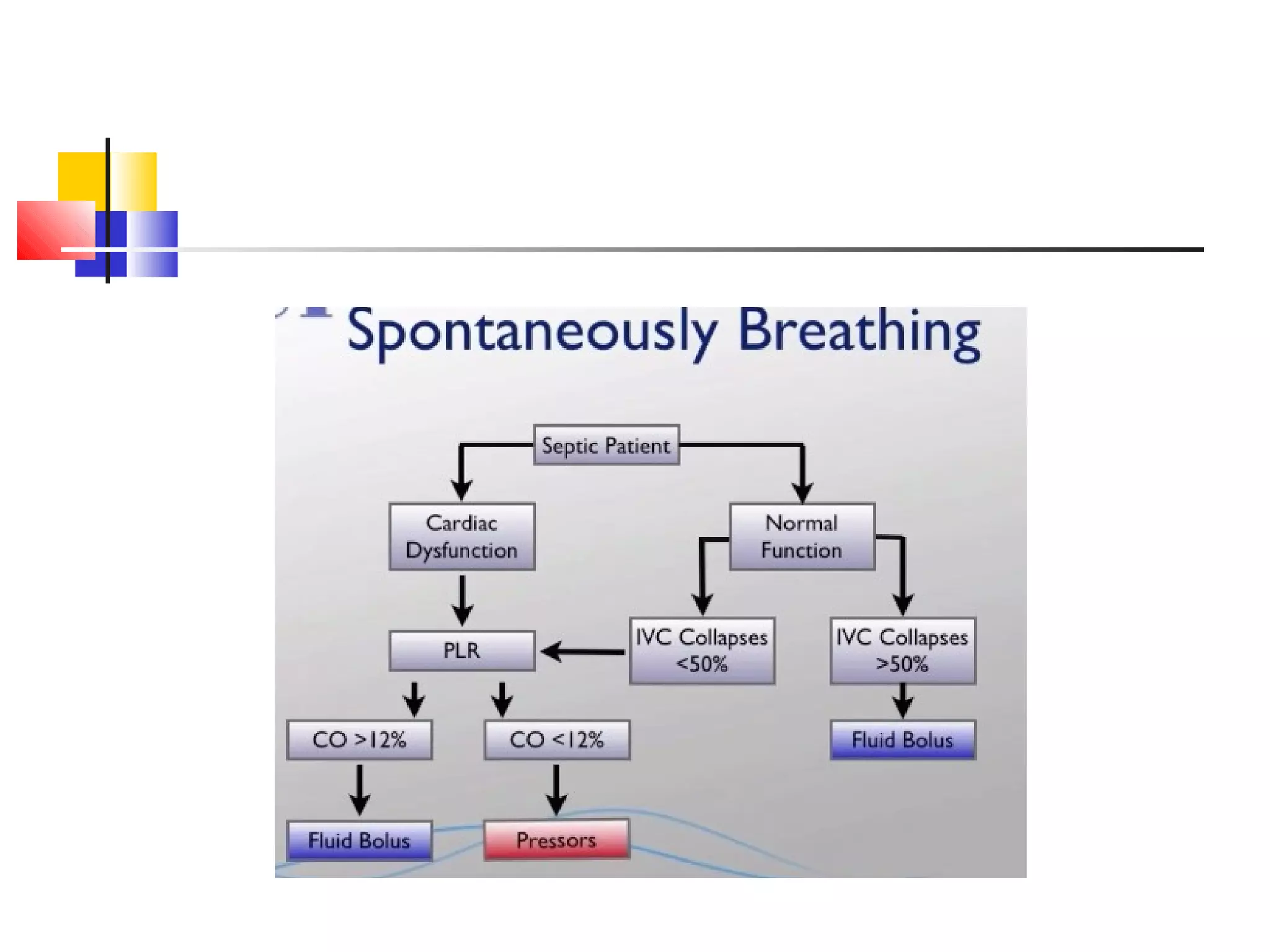Static and dynamic indices of hemodynamic monitoring | PPT