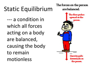 Static equilibrium chartres | PPT