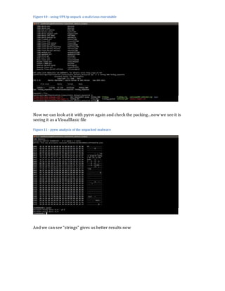 Static malware analysis sop | DOCX
