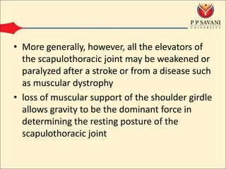 Static Stability of Shoulder joint g.pdf
