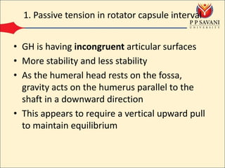 Static Stability of Shoulder joint g.pdf
