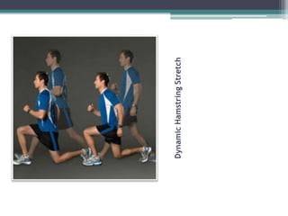 Static vs dynamic | PPTX