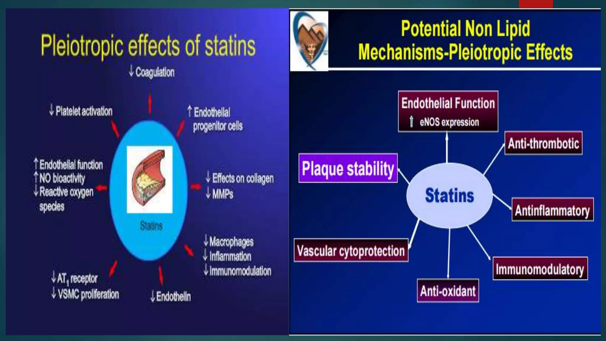 Statin | PPTX