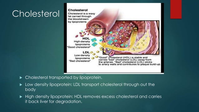 Statin | PPTX | Heart and Cardiovascular Diseases | Diseases and Conditions