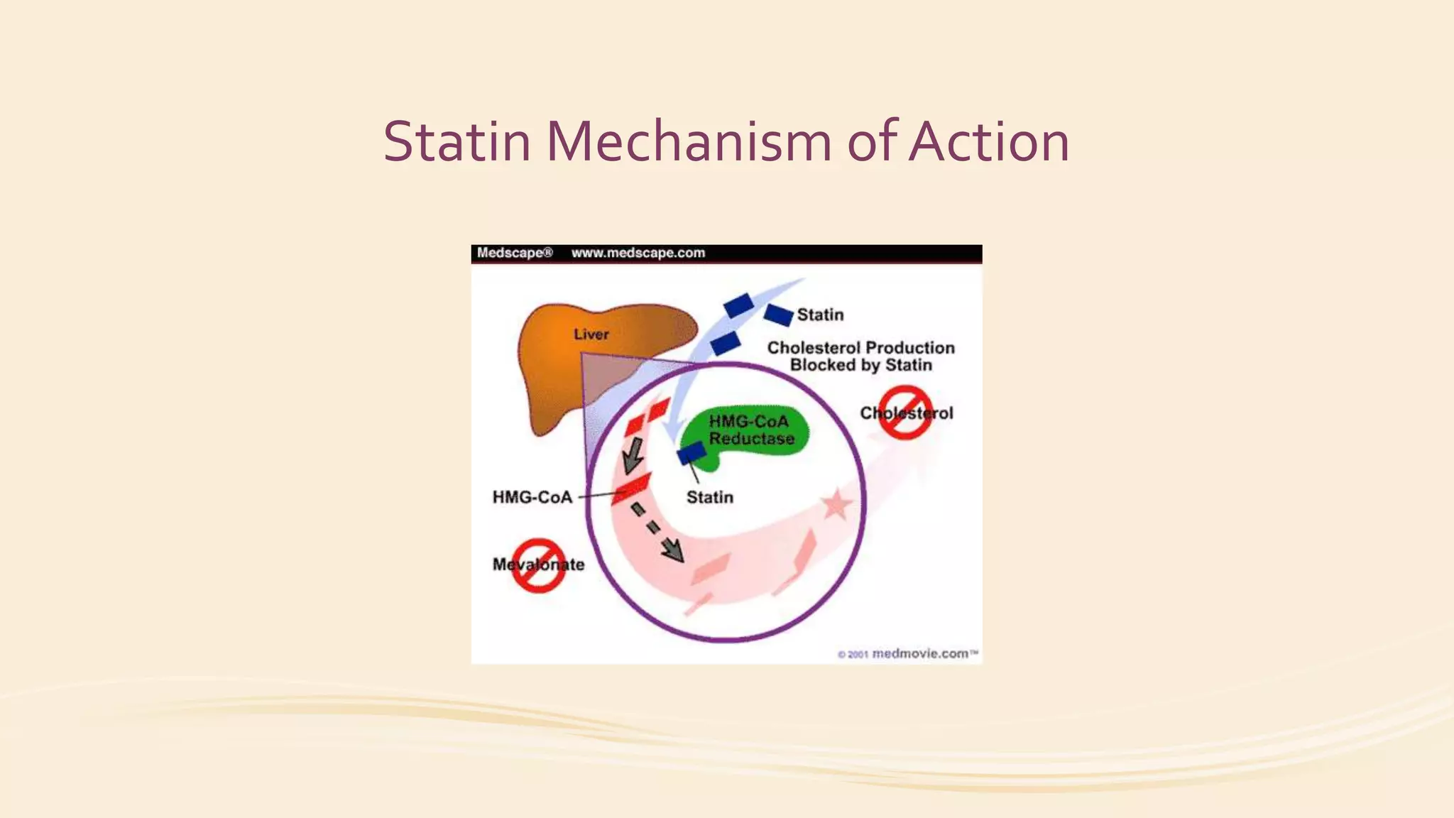 Statin-induced Myalgia and Myositis | PPTX