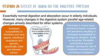 Station 21 digestive system | PPT