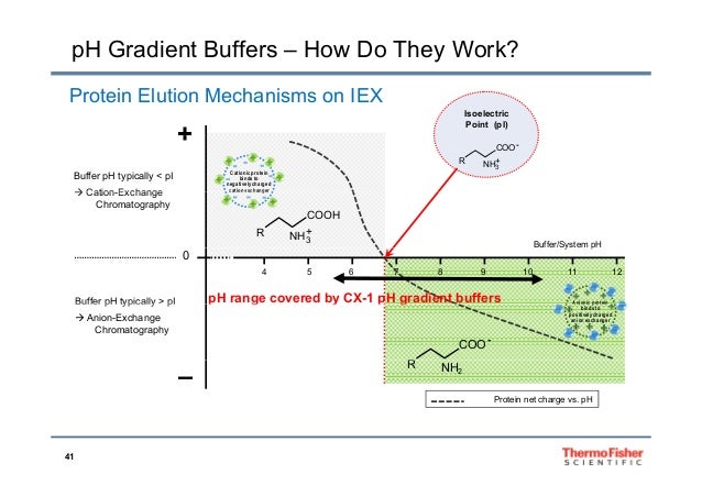 Stationary and mobile_phase_selection_m_ab_ph_gradient_analysis_33974