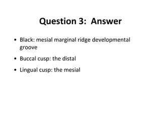 Dental morphology Identification slide exam | PPT
