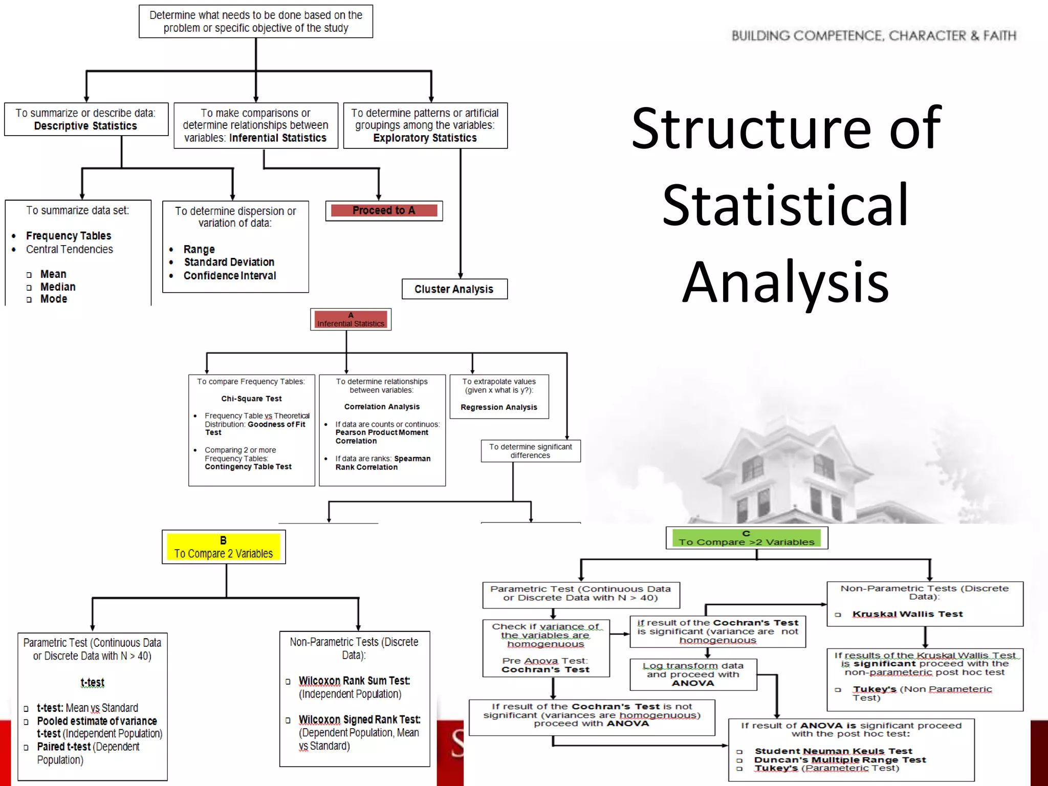 Statistical analysis and interpretation | PPTX