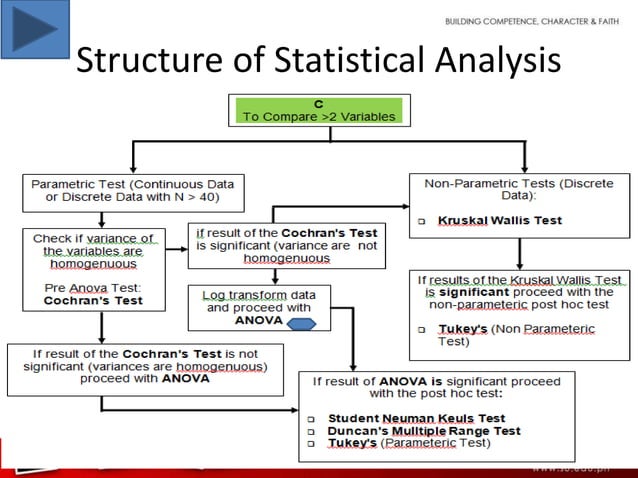 Statistical analysis and interpretation | PPTX