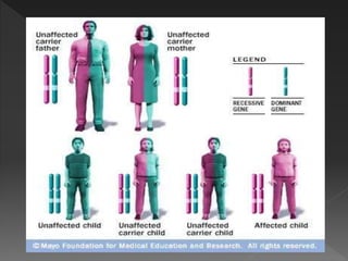 Statistical genetics.pptx............... | PPTX | Biological Sciences ...