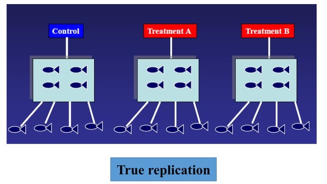 Common Statistical Methods Used In Transgenic Fish Research | PPT