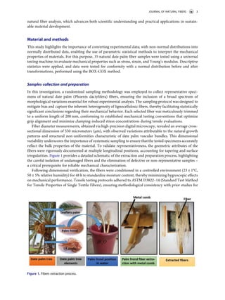 Statistical Normalization of Mechanical Properties of Natural Date Palm ...