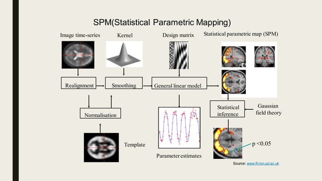 Statistical parametric mapping | PPTX