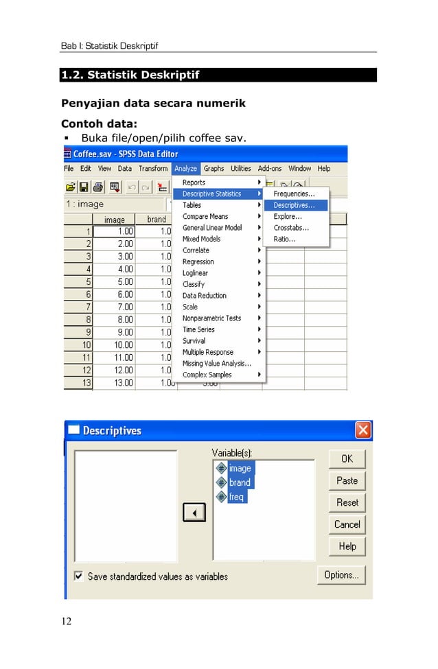Statistik deskriptif-spss | PDF