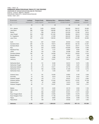 Statistik Pendidikan Tinggi Indonesia 2019.pdf