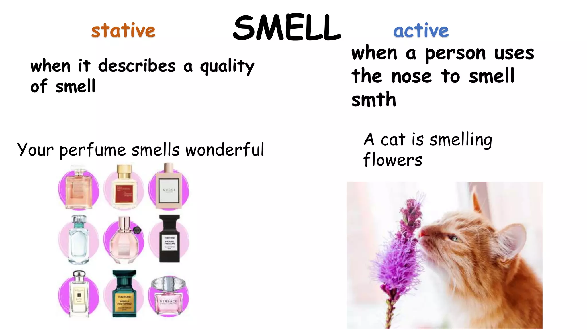 stative-and-active-verbs-present-simple-and-presen-grammar-drills ...