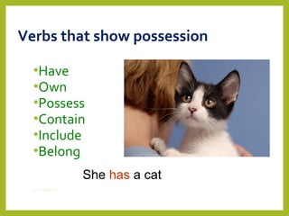 ppt-Stative verbs: roibert chuquipondo gomez | PPT