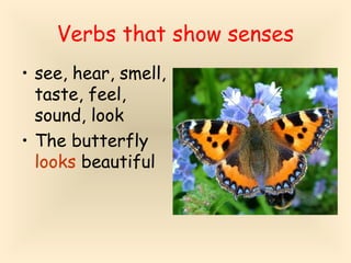 Stative verbs 5to | PPT