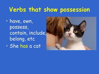 Stative verbs 5to1 | PPT