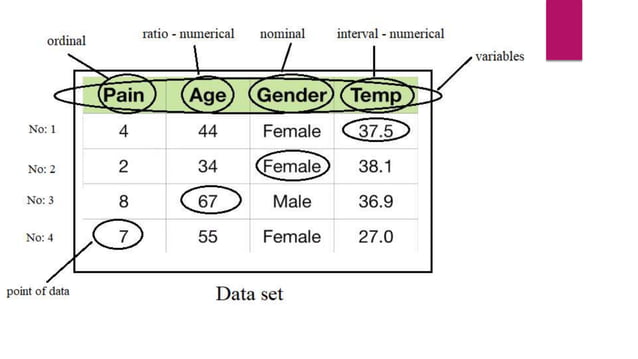 Introduction to Statistics - Basic concepts | PPTX | Science