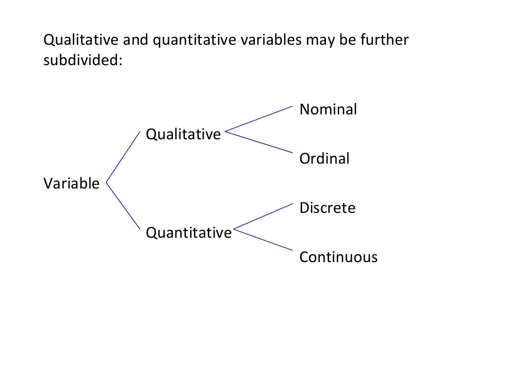 Statistics Vocabulary Chapter 1